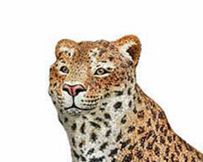 Swarovski Crystal Myriad Gallery - Swarovski designs Archives - Page 2 ...